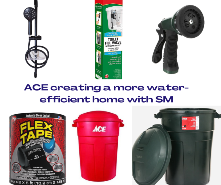ACE Hardware and SM: Transforming homes with water efficiency - Good ...