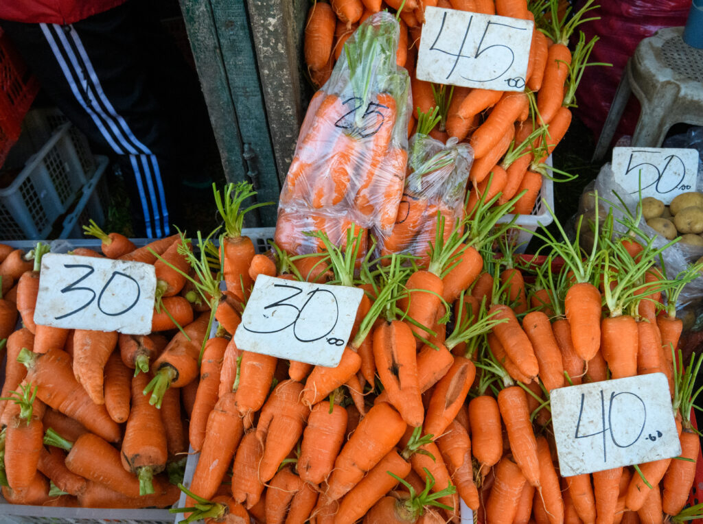 Low carrot prices squeeze Benguet farmers - Good Morning Baguio