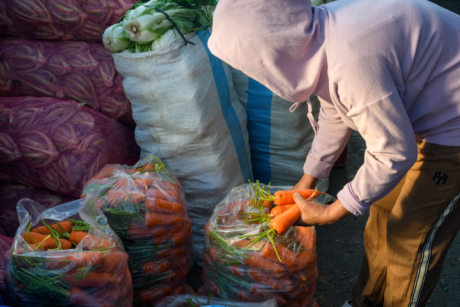 Low carrot prices squeeze Benguet farmers - Good Morning Baguio